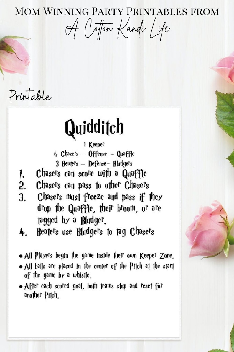 Quidditch Rules Printable Sign, Wizarding World Birthday Party Games - Etsy