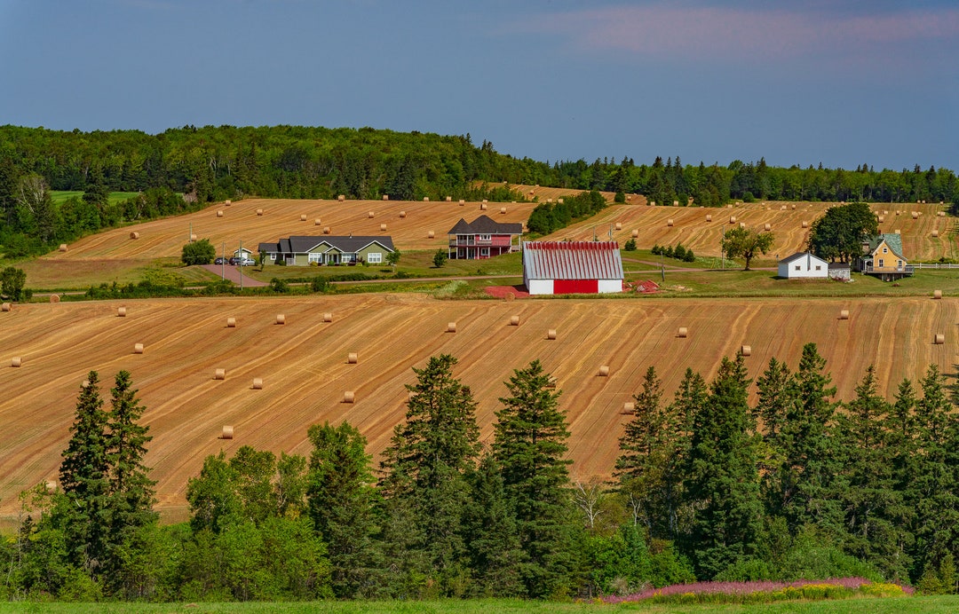 PEI Farmland Landscape Print: Prince Edward Island Wall Art - Etsy