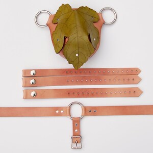 Fig Leaf Codpiece - Etsy