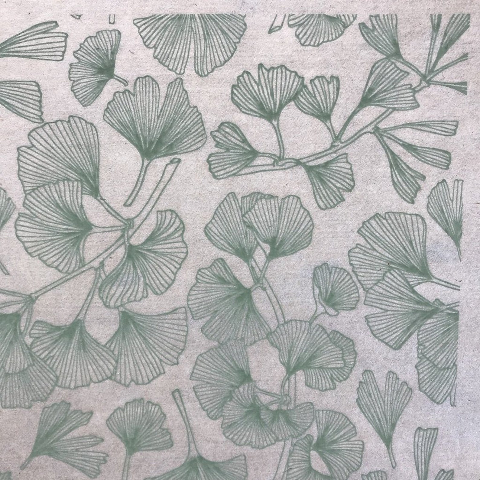 Ginkgo Leaves - Underglaze Transfer Sheet - Etsy