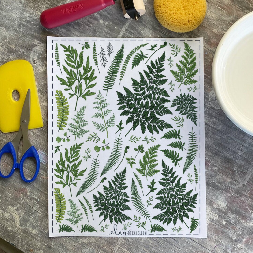 Ferns - Overglaze Decal Sheet - Etsy