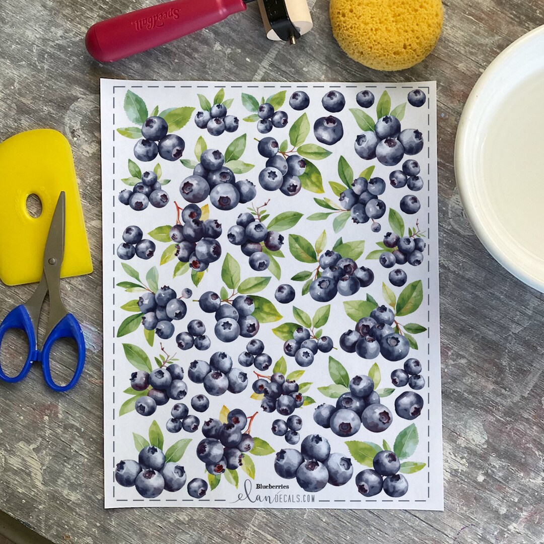 Blueberries - Overglaze Decal Sheet - Etsy