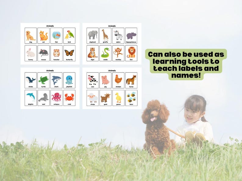 243 Basic Pecs Picture Communication Cards Autism Communication ...