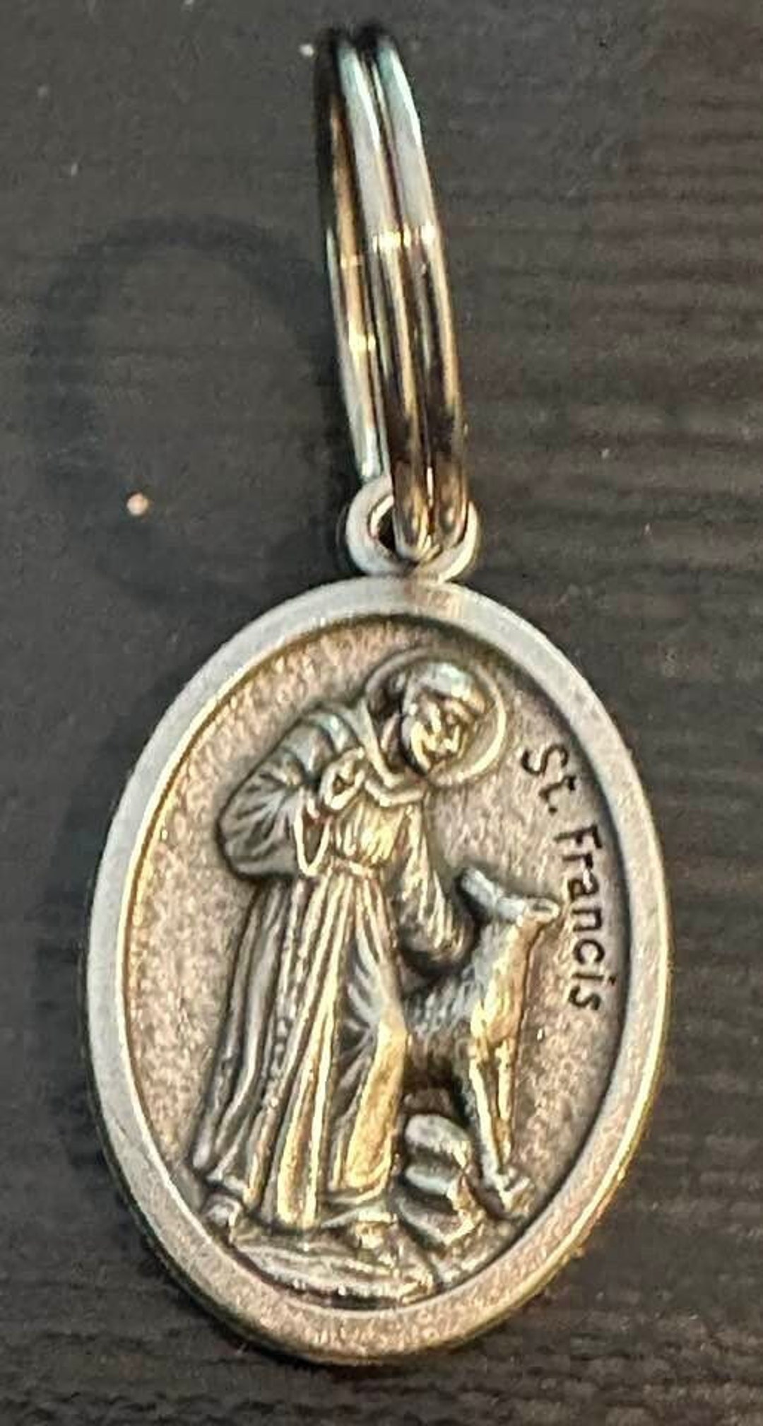 Saint Francis Pet Medal: Bless & Portect My Pet Religious Collar Charm ...