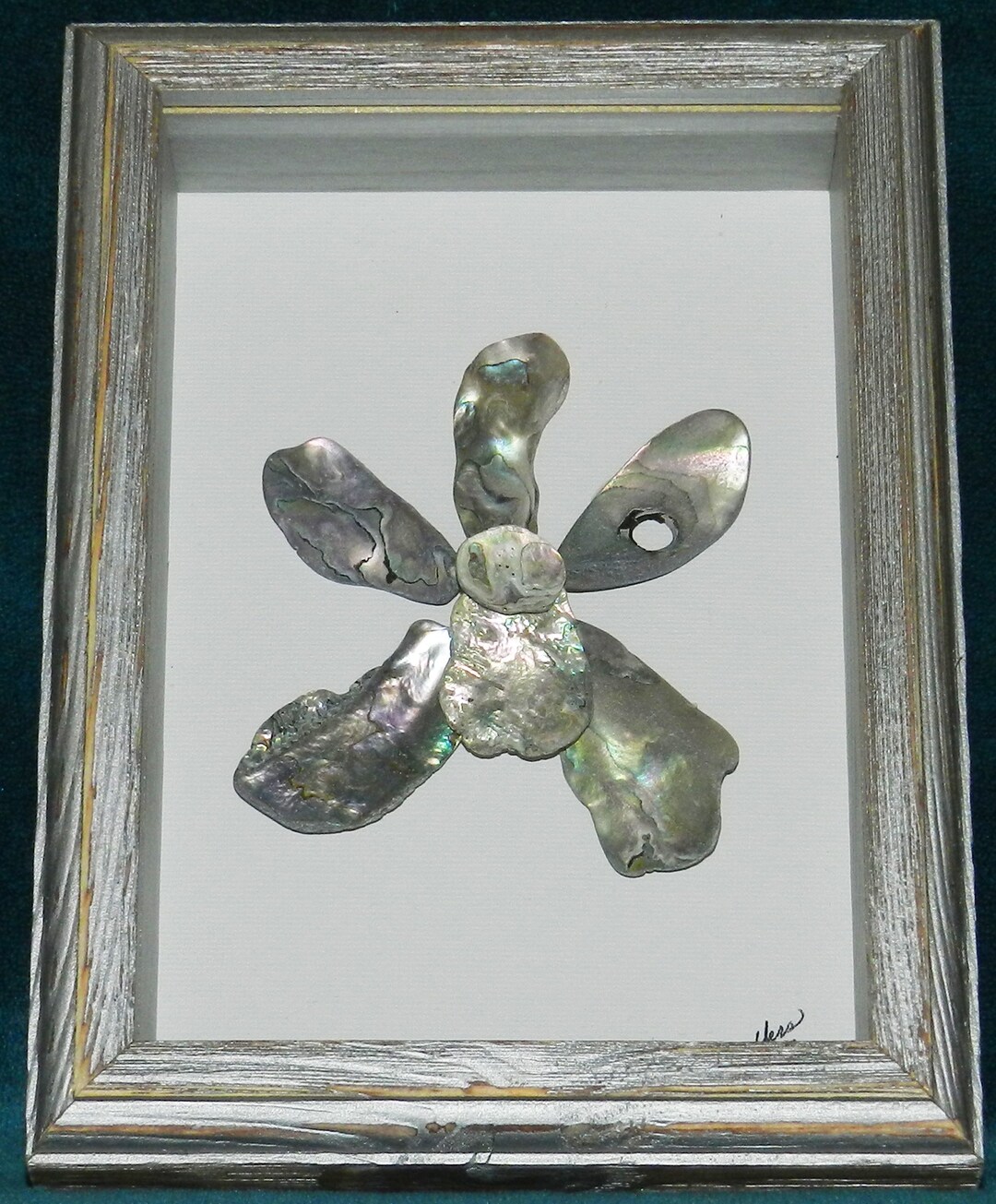 ABALONE SHELL ART! Lovely Orchid! Genuine Surf Tumbled Abalone Shell ...