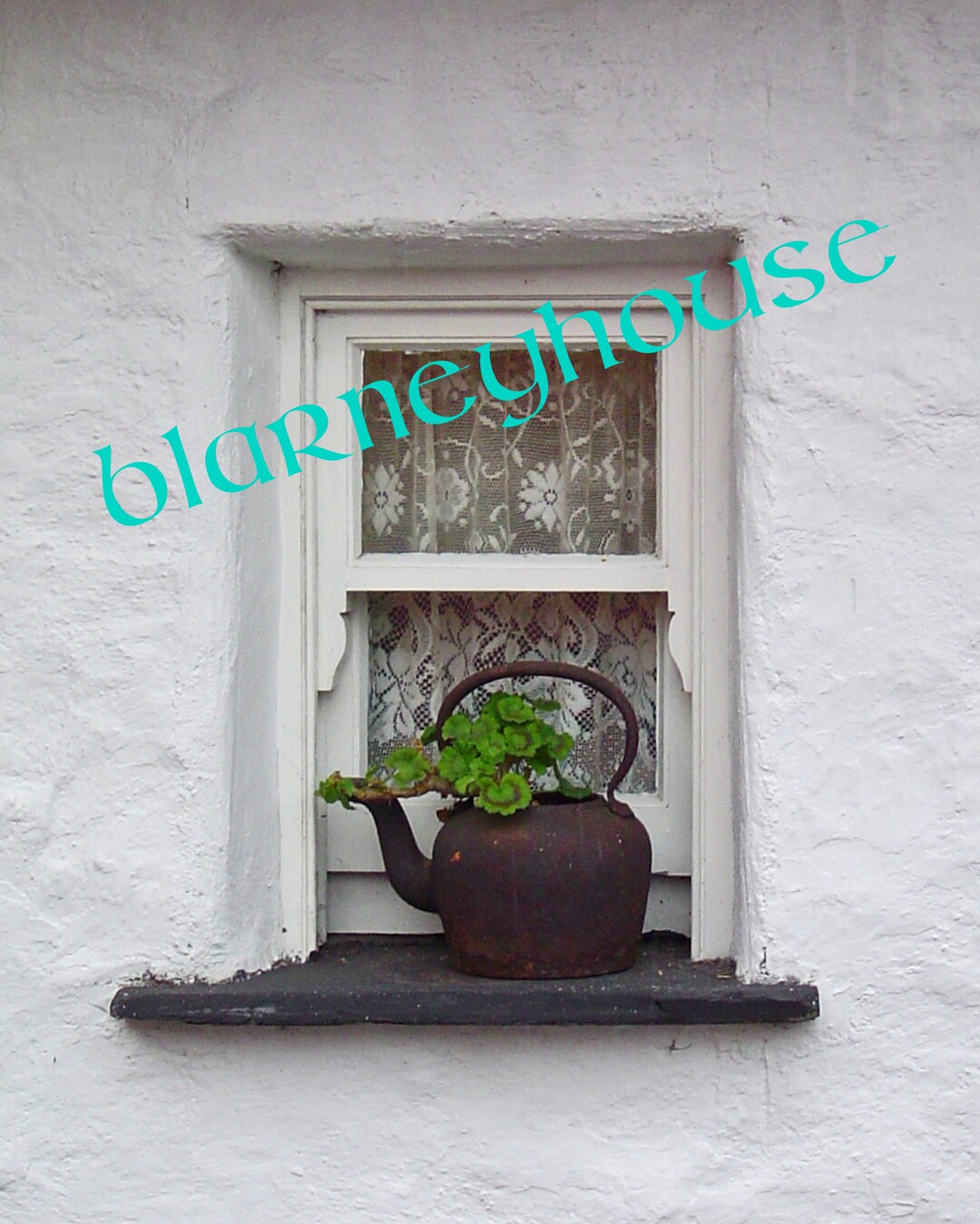 LOVELY IRISH COTTAGE Window With Old Cast Iron Kettle as A Planter, 8 X ...