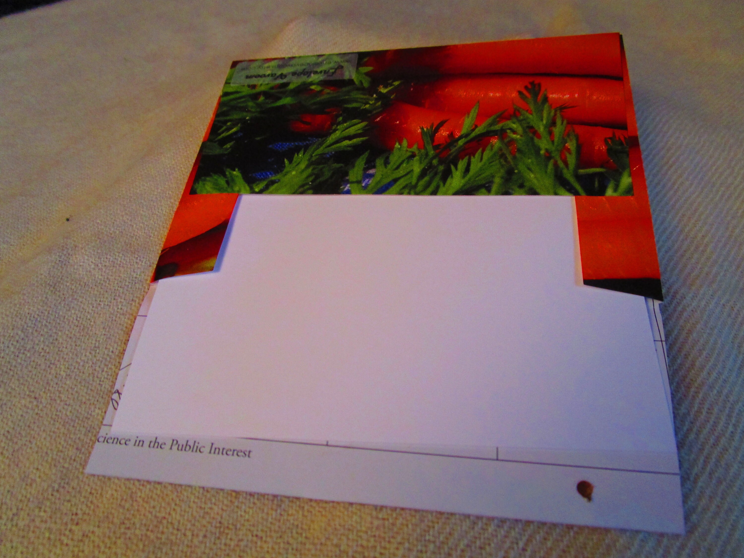 Six 4-bar Super Foods Vegetable Envelopes With Notecards - Etsy