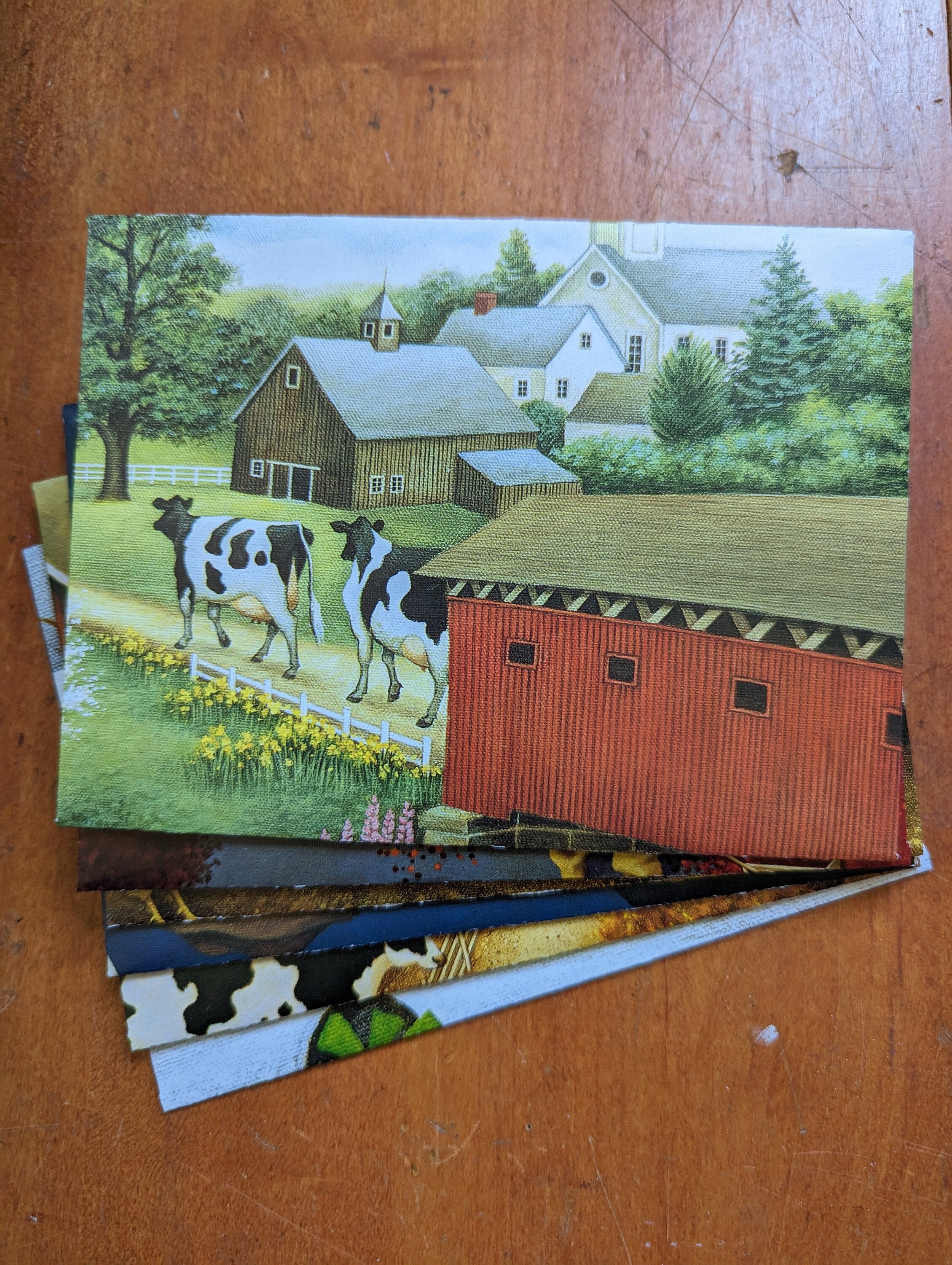 NEW Six A-6 Cows Cows Cows Paintings Envelopes & Notecards - Etsy