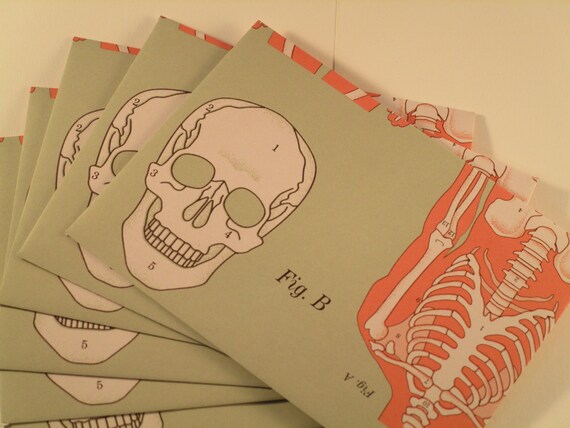 Six 4-bar Anatomical Skull Skeleton Envelopes With Notecards - Etsy