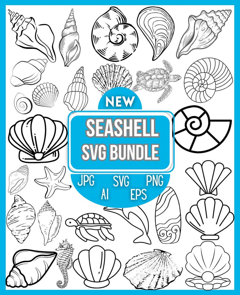 Seashell SVG Cut Files, Sea World Outline (digital Download) - Etsy