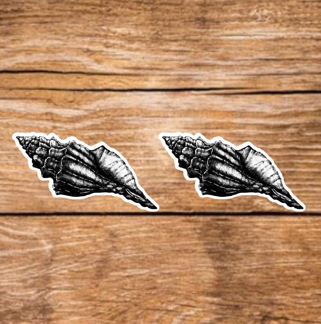 Seashell (2 Stickers) 3.5in, Waterproof, Glossy Finish Vinyl. - Etsy