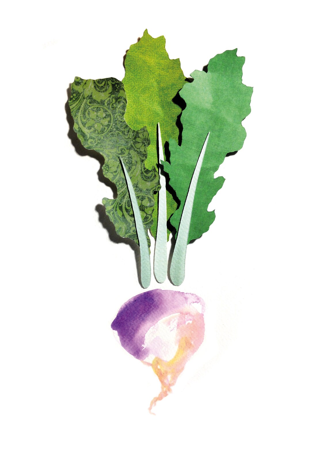 Paper Turnip 5x7in Print - Etsy