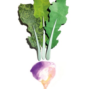 Paper Turnip - 5x7in Print - Etsy