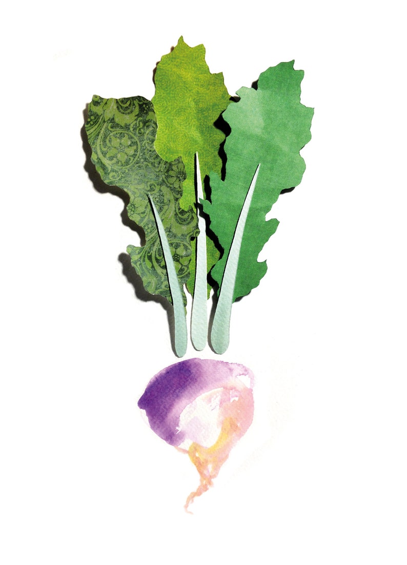 Paper Turnip 5x7in Print - Etsy