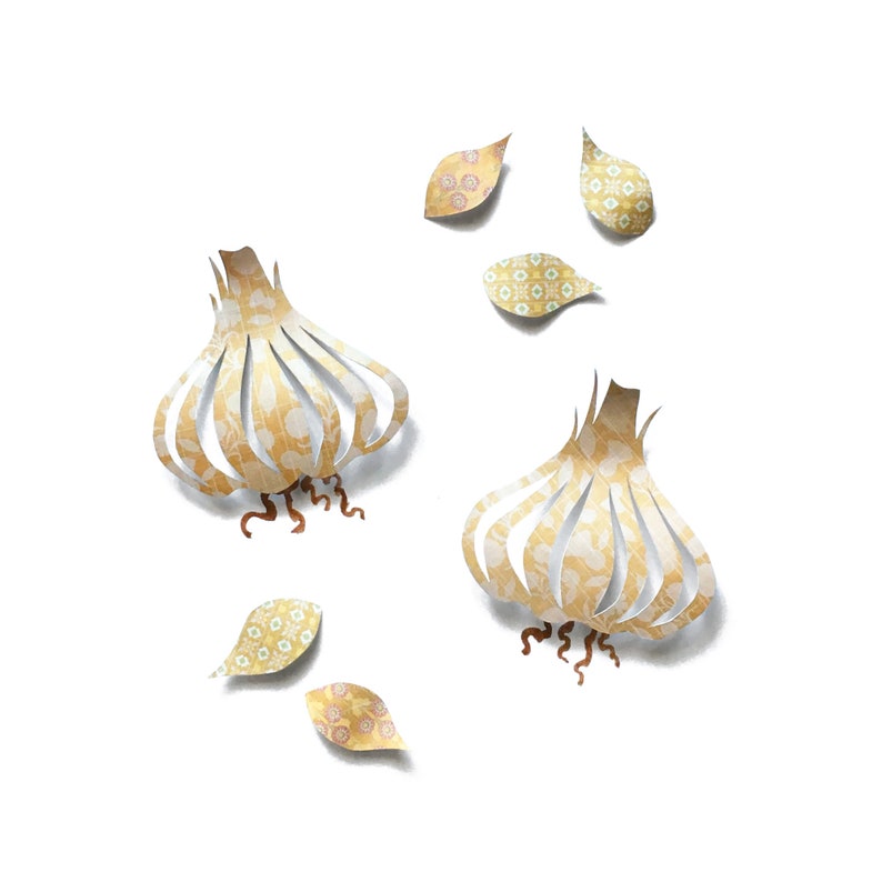 Paper Garlic Print | Etsy