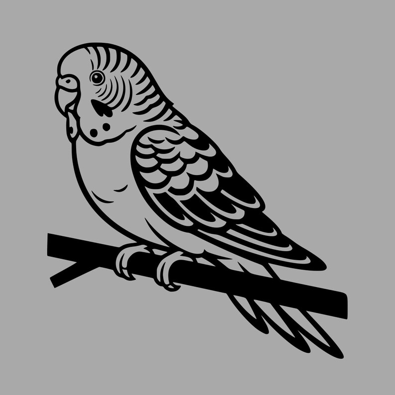 Budgie Parakeet SVG: Hand Drawn Feather Detail Cut File (digital ...