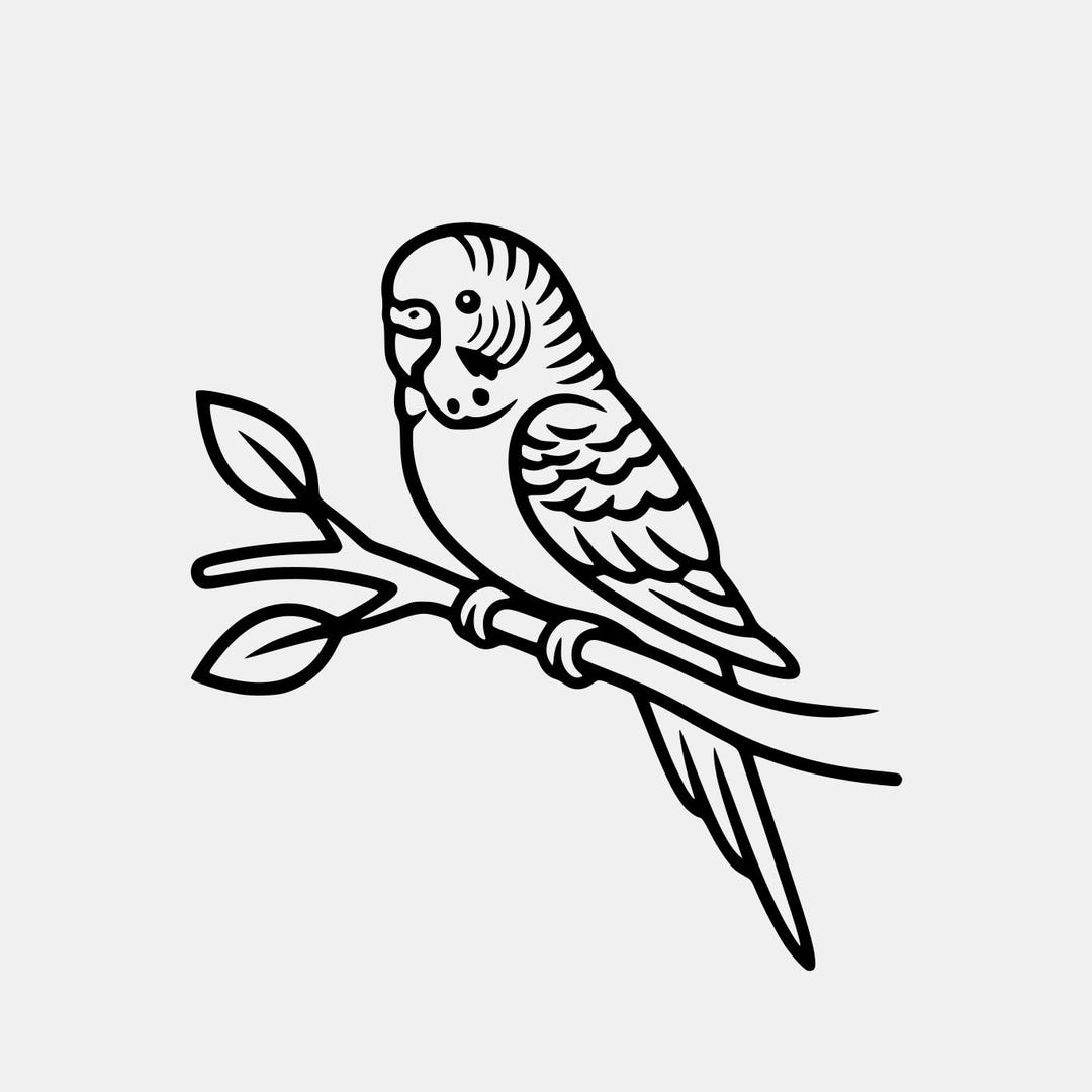 Budgie Parakeet Line Art SVG Clipart, Pet Lover Gift - Etsy