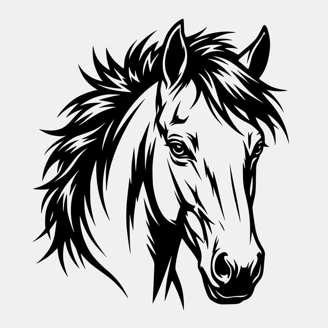 Bold Horse Head Illustration: Equestrian Graphic Cut File (SVG, PNG) - Etsy