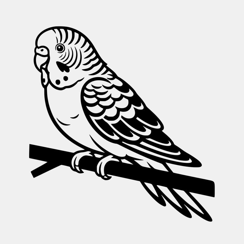 Budgie Parakeet SVG: Hand Drawn Feather Detail Cut File (digital ...