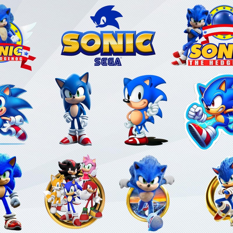 Sonic the Hedge Hog Decor - Etsy