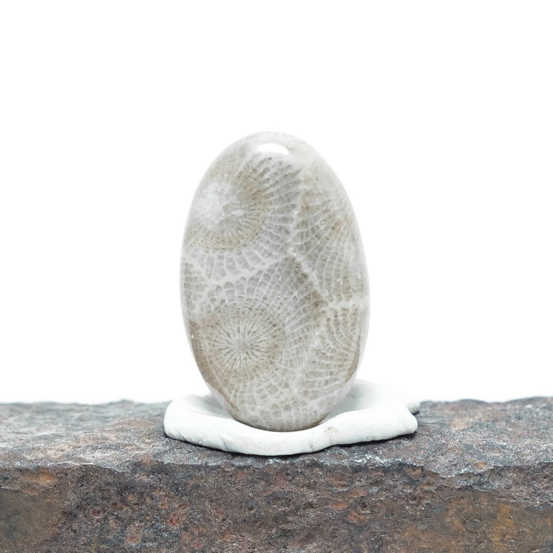 Petoskey Stone Cabochon | Fossil Coral Cab Jewelry Making Stones ...
