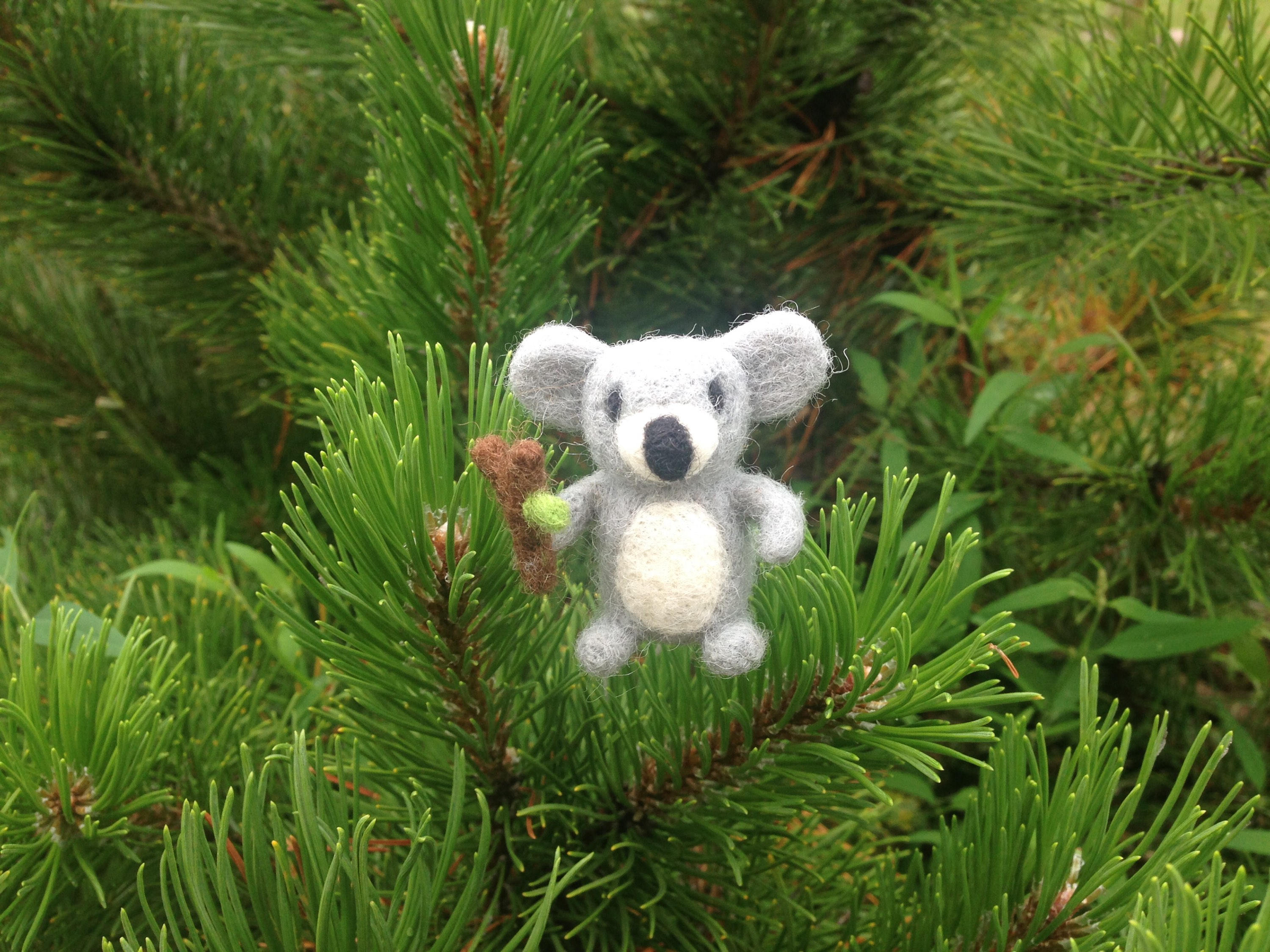 Felted koala koala miniature needle felted koala | Etsy