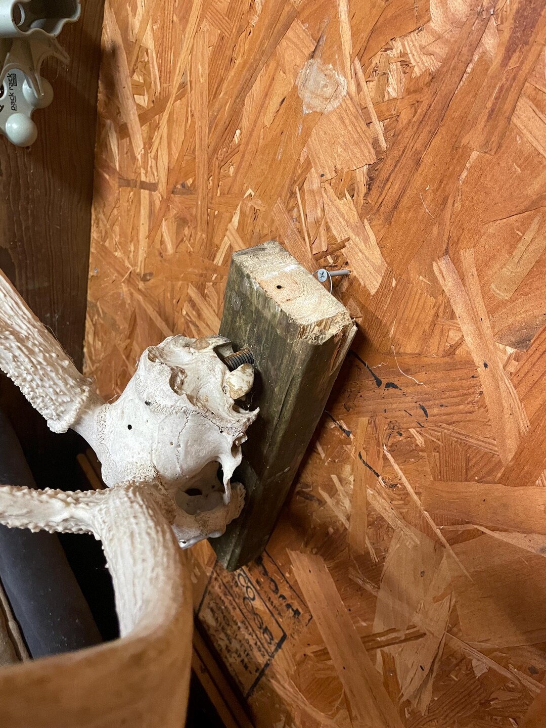 European Mount Hanger - Etsy