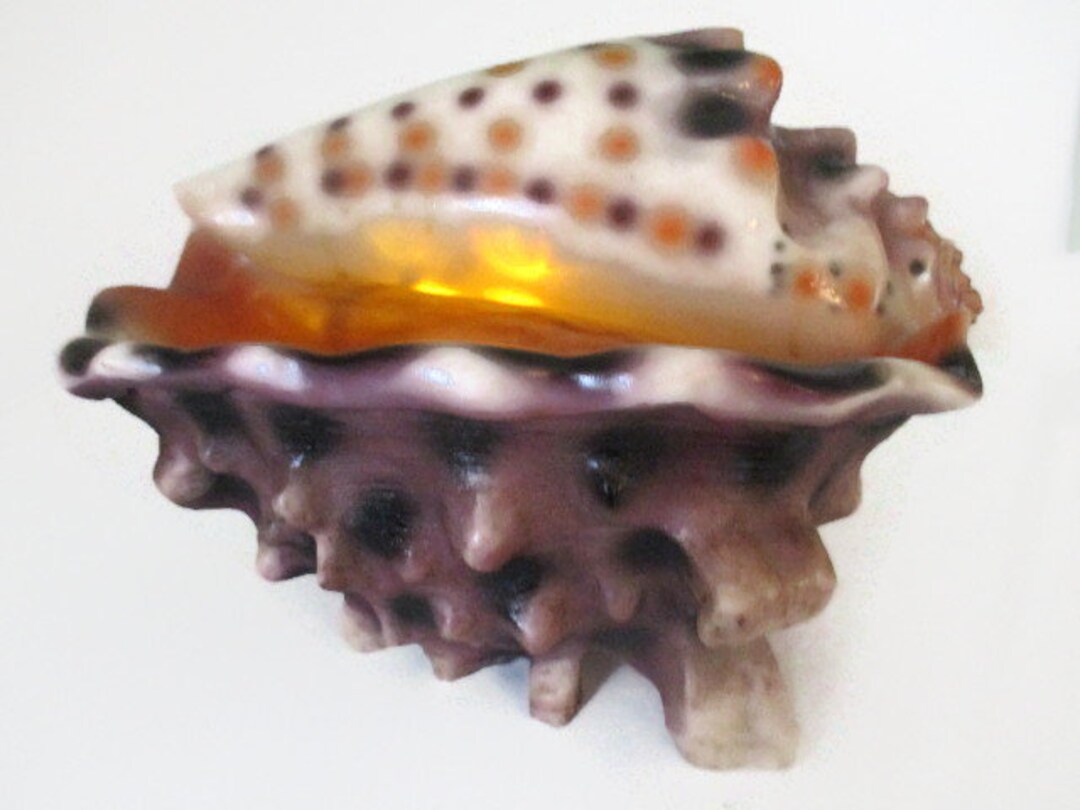 Large Color Changing Conch Style Lamp, Tiki Bar Faux Conch Shell Lamp ...