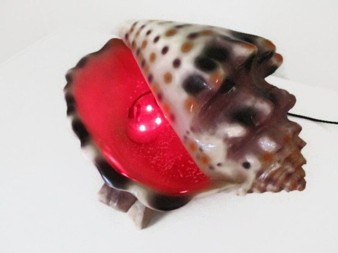 Large Color Changing Conch Style Lamp, Tiki Bar Faux Conch Shell Lamp ...
