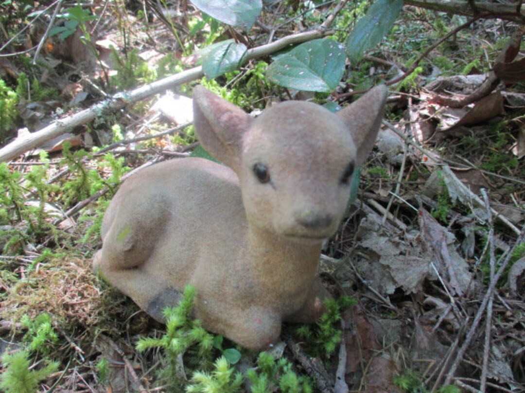Flocked Deer Fawn Coin Bank, Flocked Blow Mold Plastic Deer Piggy Bank ...