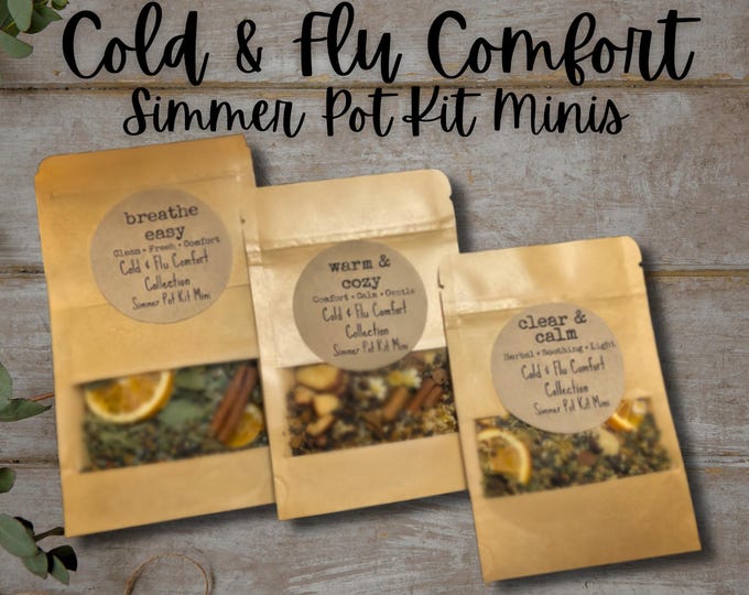 Cold & Flu Comfort Mini Simmer Pot Kit|breathe Easy Stovetop Potpourri ...