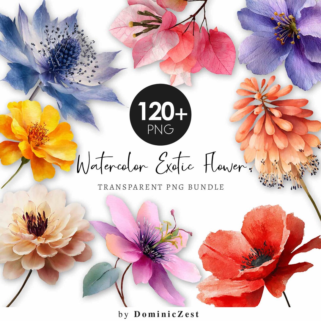 Watercolor Flower Clipart – 120+ PNG Graphics (commercial Use) - Etsy