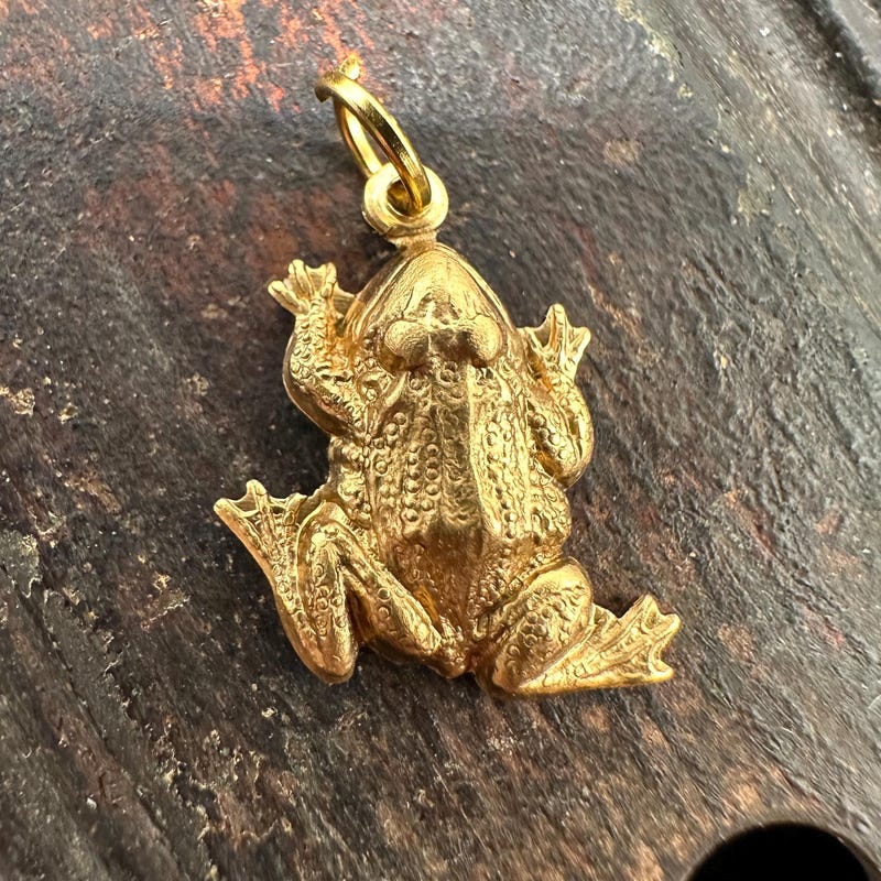 Frog Necklace Holder - Etsy