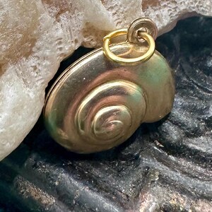Vintage Raw Brass Puffy SPIRAL SHELL SEASHELL Charm for Necklace ...