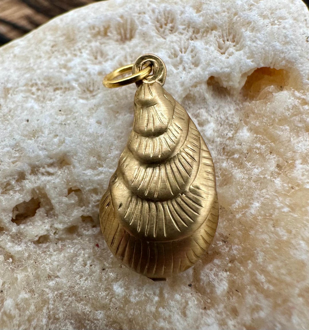 Vintage Raw Brass PUFFY MUSSEL SHELL Seashell Charm for Necklace ...