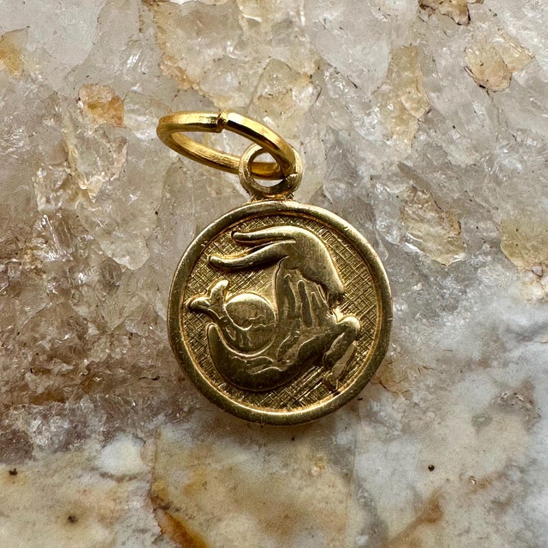 Capricorn Earrings - Etsy