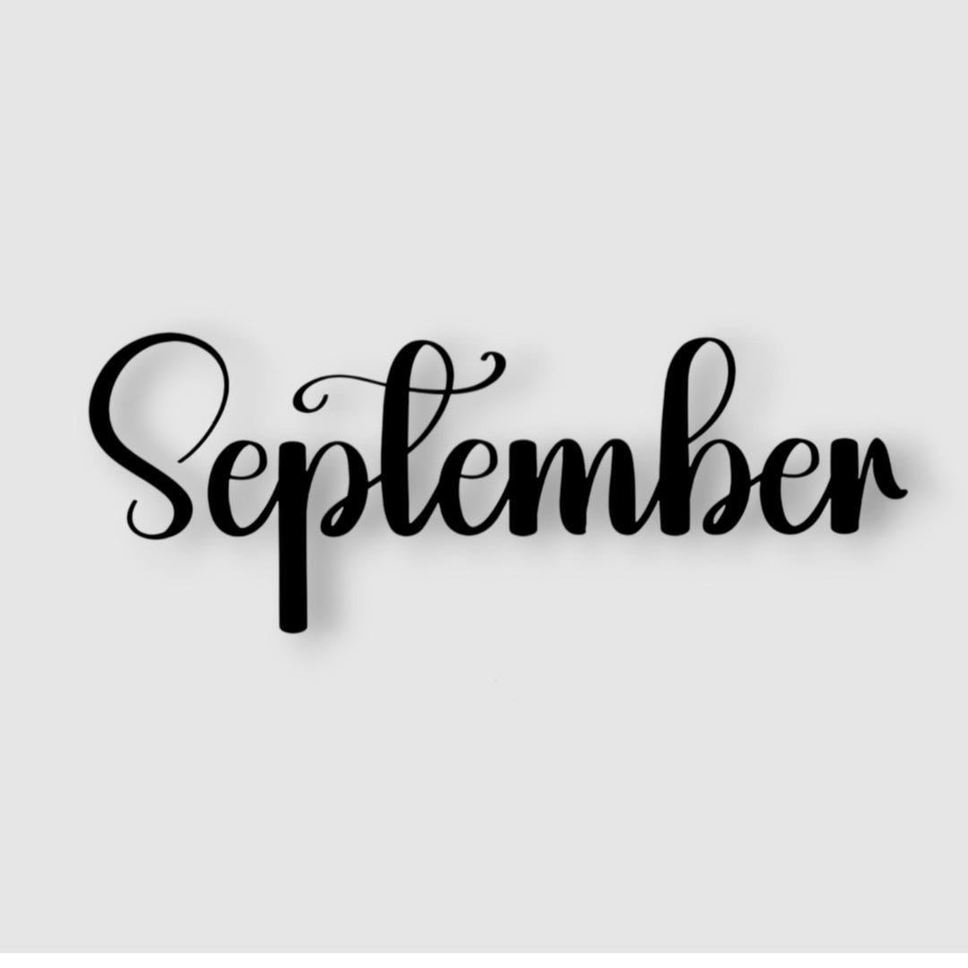 September Script Font: Modern Calligraphy, Cricut & Procreate Font - Etsy