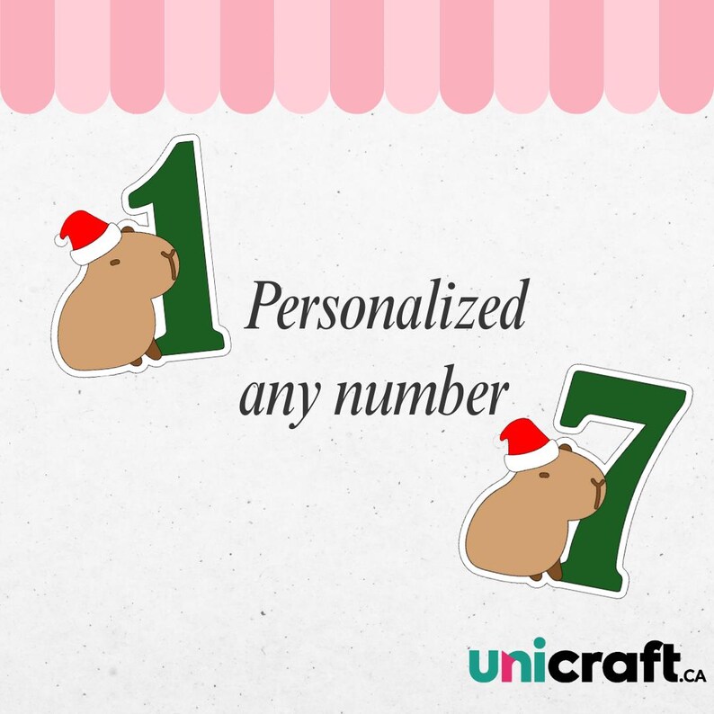 Any Age Christmas Capybara Cake Topper With Number Birthday Decoration ...