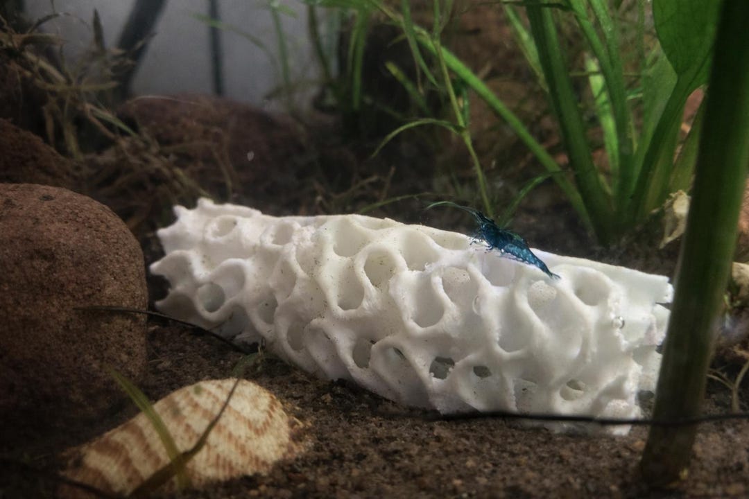 Shrimp Log - Shrimp Habitat - Aquarium Decor Gyroid - Etsy