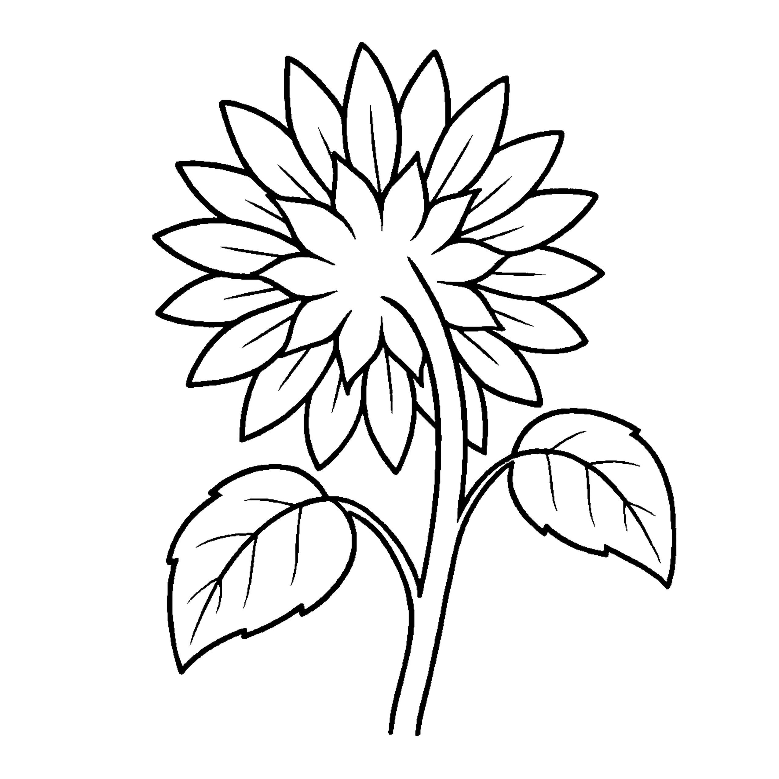 10 Printable Pages, Sunflowers Coloring Page, Flowers Relaxation ...