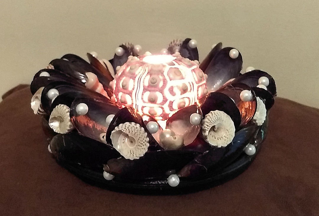 Black Mussel Seashell 6 Light Lamp Beach Coastal Nautical Decor - Etsy