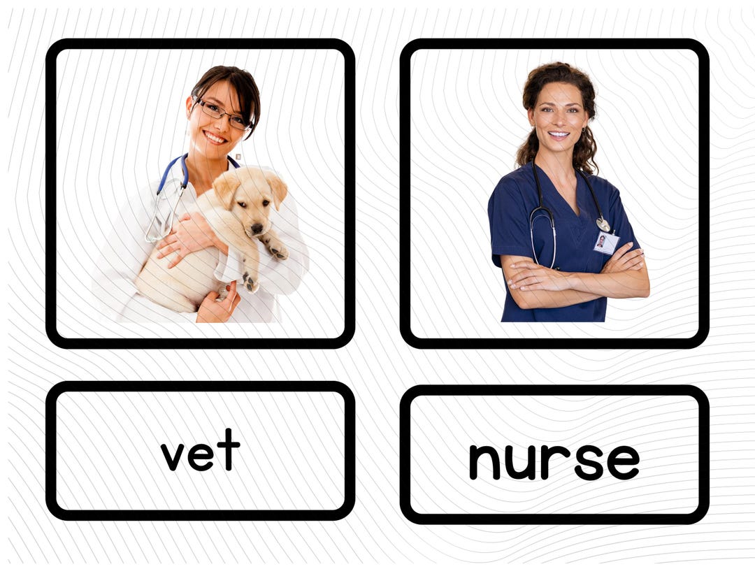 Montessori 3-part Cards – Professions | Printable Educational ...
