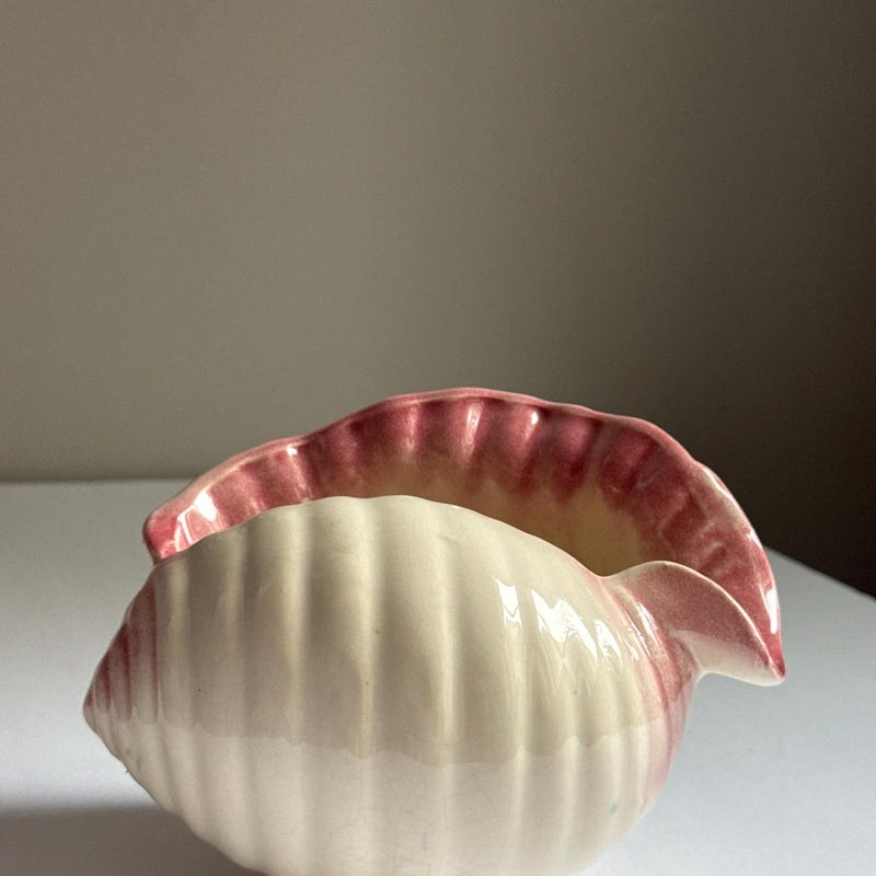 Conch Shell Planter - Etsy
