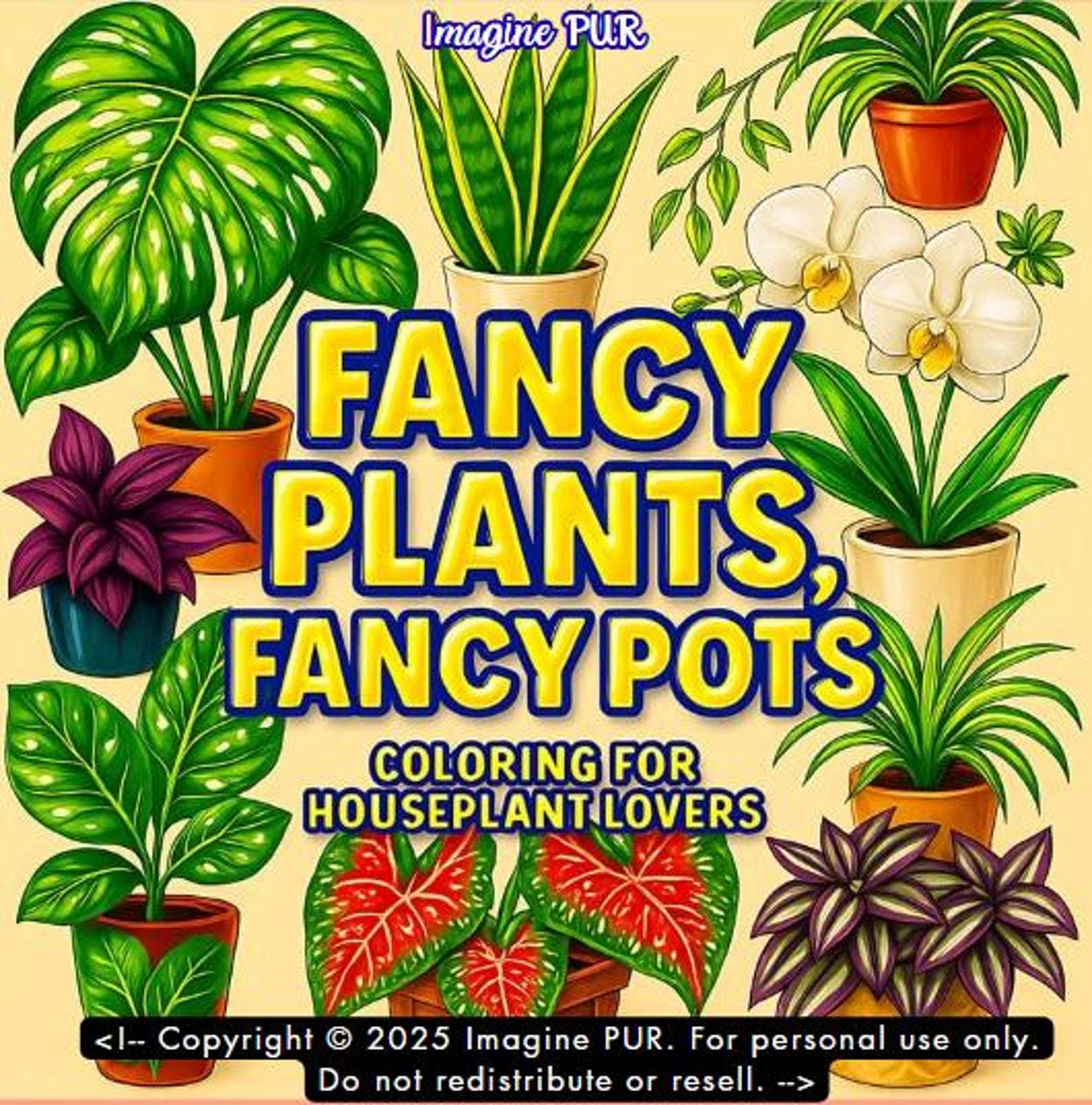 Fancy Plants, Fancy Pots- Coloring for Houseplant Lovers - Etsy