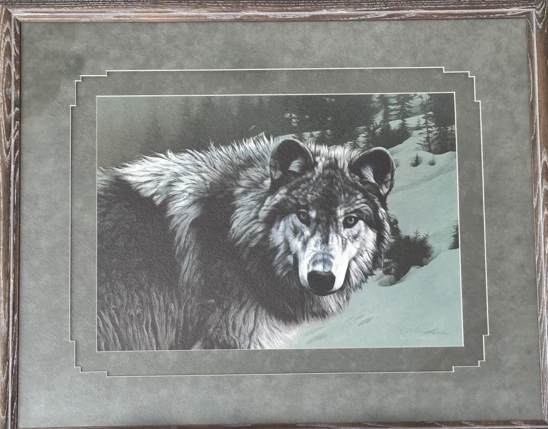 Rod Frederick Timber Ghost Wolf Double Signed Print 2651/3000 Pencil ...