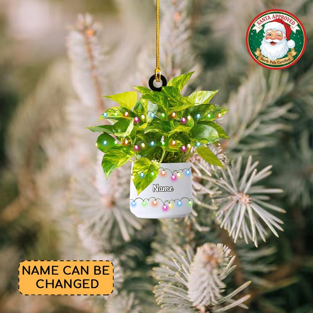 Personalized Pothos Plant Christmas Ornament, Pothos Plant Ornament ...