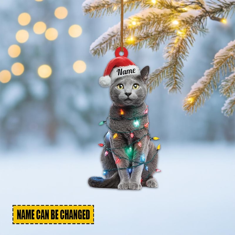 Grey and Yellow Cat - Etsy