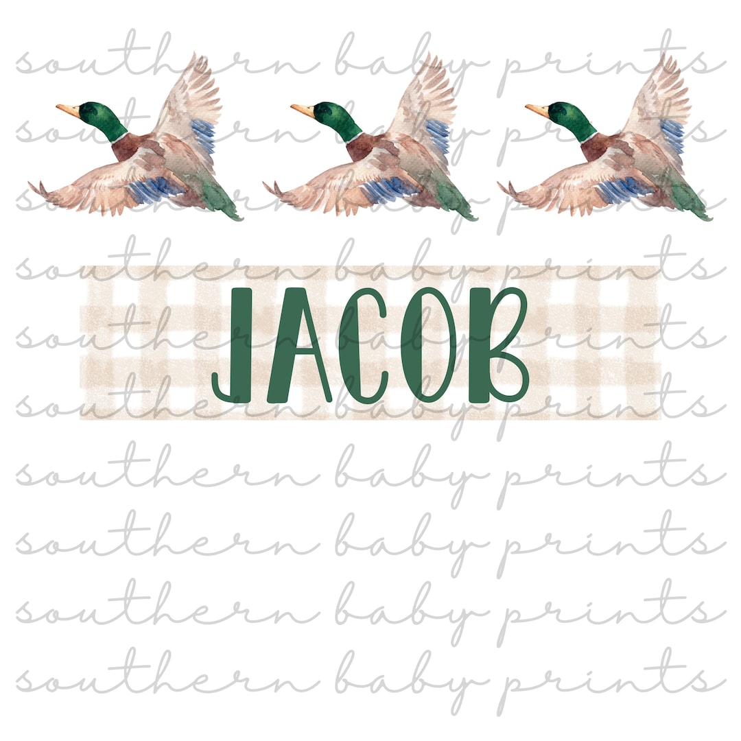 Mallard Duck PNG, Duck Trio, Boys Duck Design, Boys Animal PNG, Duck ...