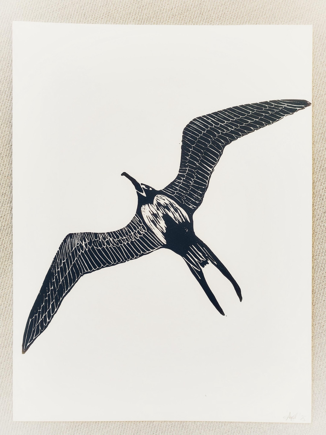 Hawaiian 'iwa Frigate Bird Linocut Print - Etsy