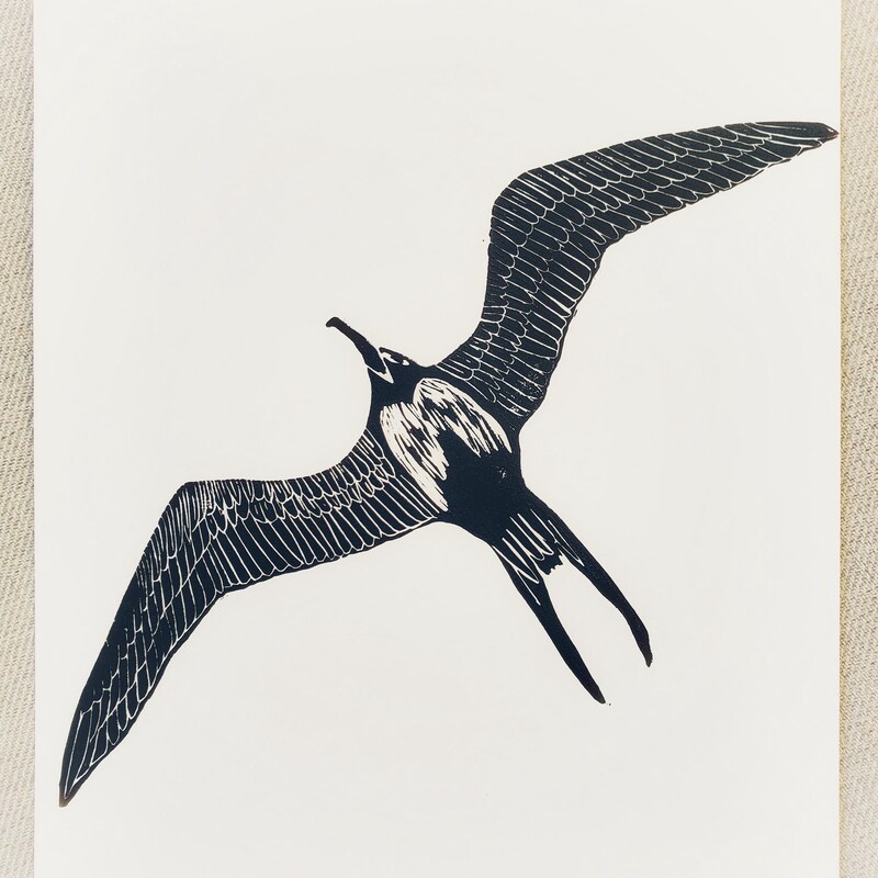 Frigate Bird - Etsy